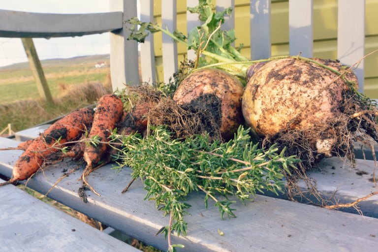 Reestit Mutton Tattie Soup | My Shetland Garden